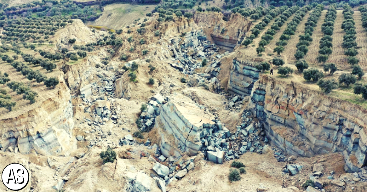 An Olive Grove Was Partly Swallowed After Devastating Turkey/Syria ...