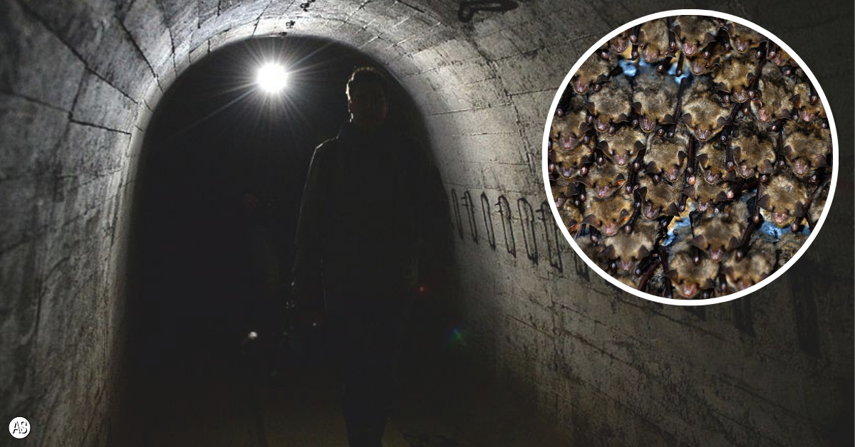 Ostwall Fortifications: The World War II-Era Defensive Line That's ...